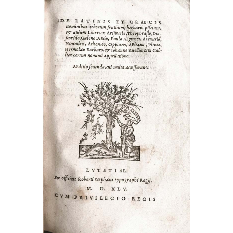 [Claudii Galeni pergameni definitiones medicæ, Iona Philologo ...
